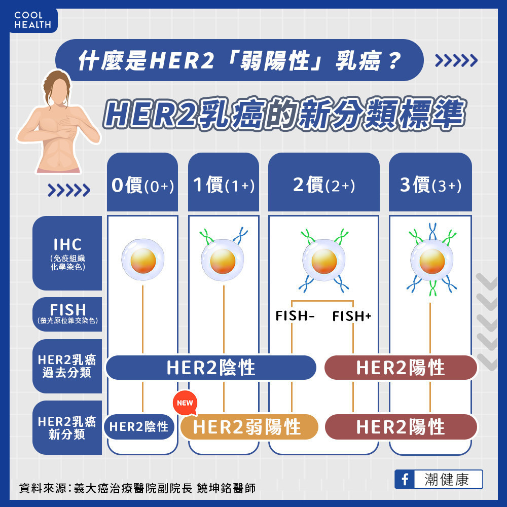 結合化療、標靶治療優點！ 1藥物精準治療HER2「弱陽性」乳癌
