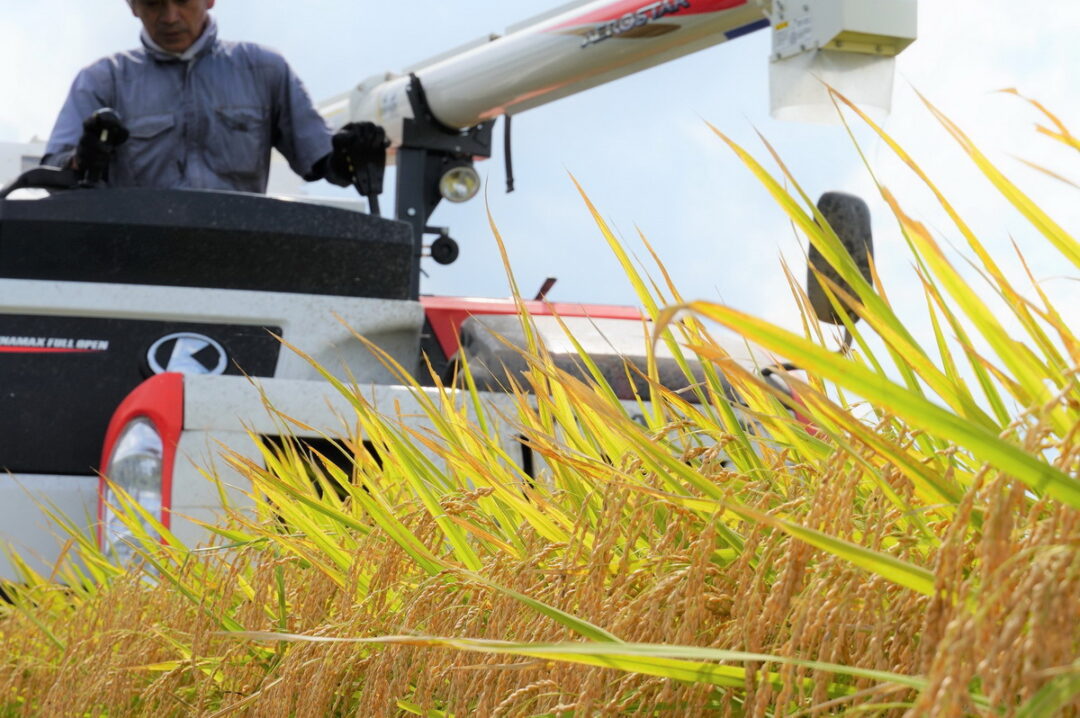 JR東日本大飯店台北 HAYASE日本料理即日起起舉辦「秋田縣美食祭」