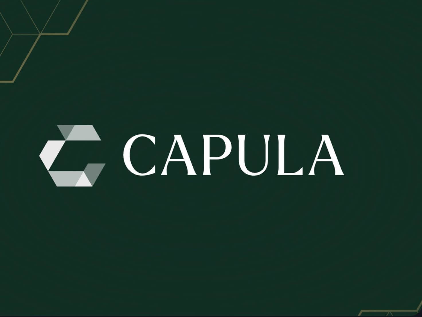 歐洲第四大避險基金 Capula 揭露：持有 4.64 億美元的比特幣現貨 ETF