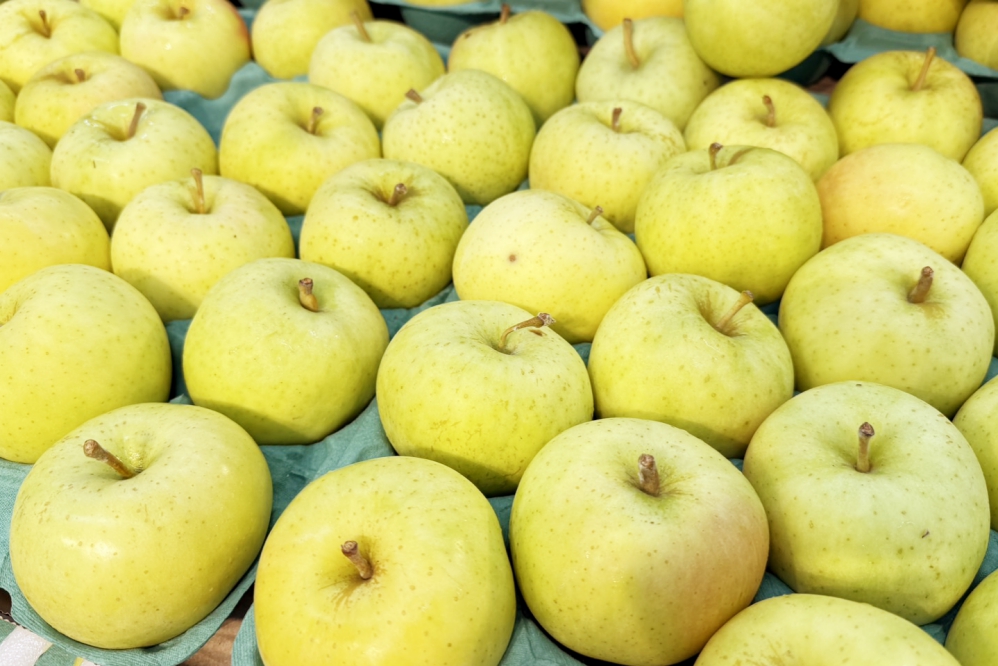 品嚐世界第一的日本青森蘋果 連瑣量販店暨超市首批空運97噸開賣!