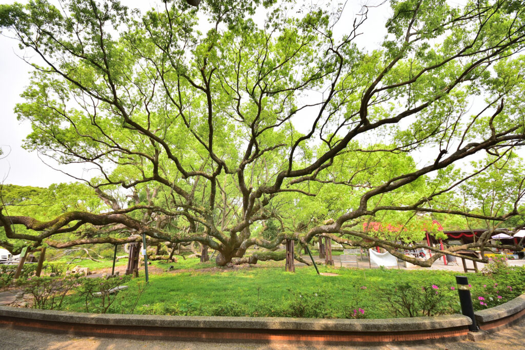 石岡熱氣球嘉年華8/29登場 暢遊山城全攻略