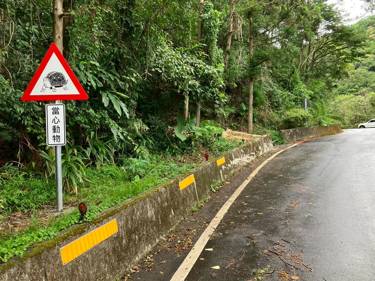 新北市農業局攜手政大推動路殺防治